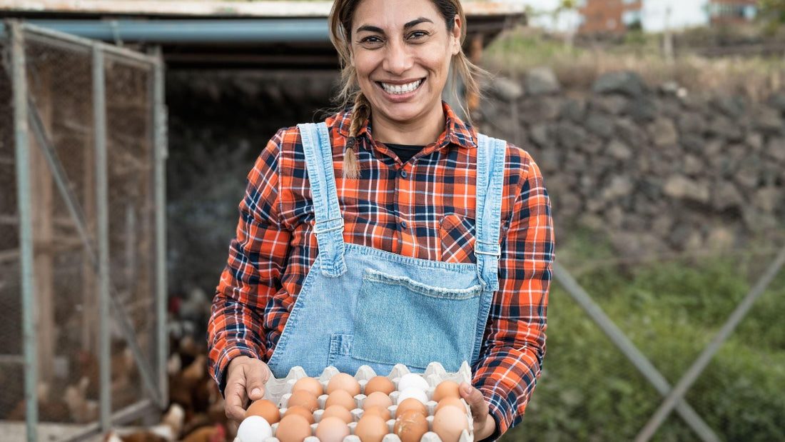 How to Harvest Fresh Eggs Daily for Peak Quality and Flavor – Misty Meadows